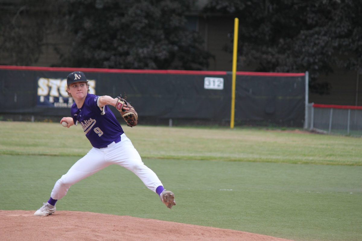 That's How I Rollerboard… – The Official Blog of Max Effgen